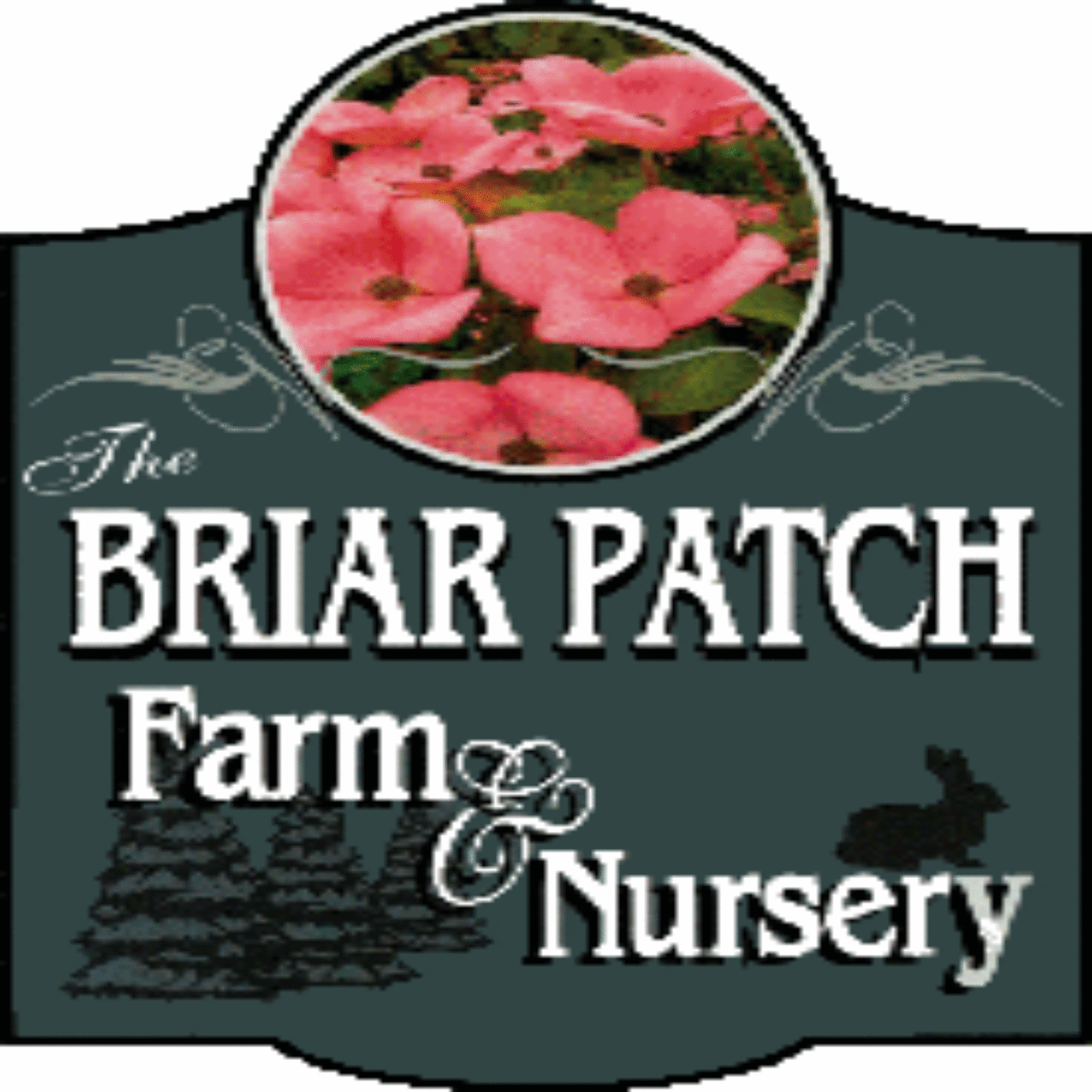 Briar Patch Nursery